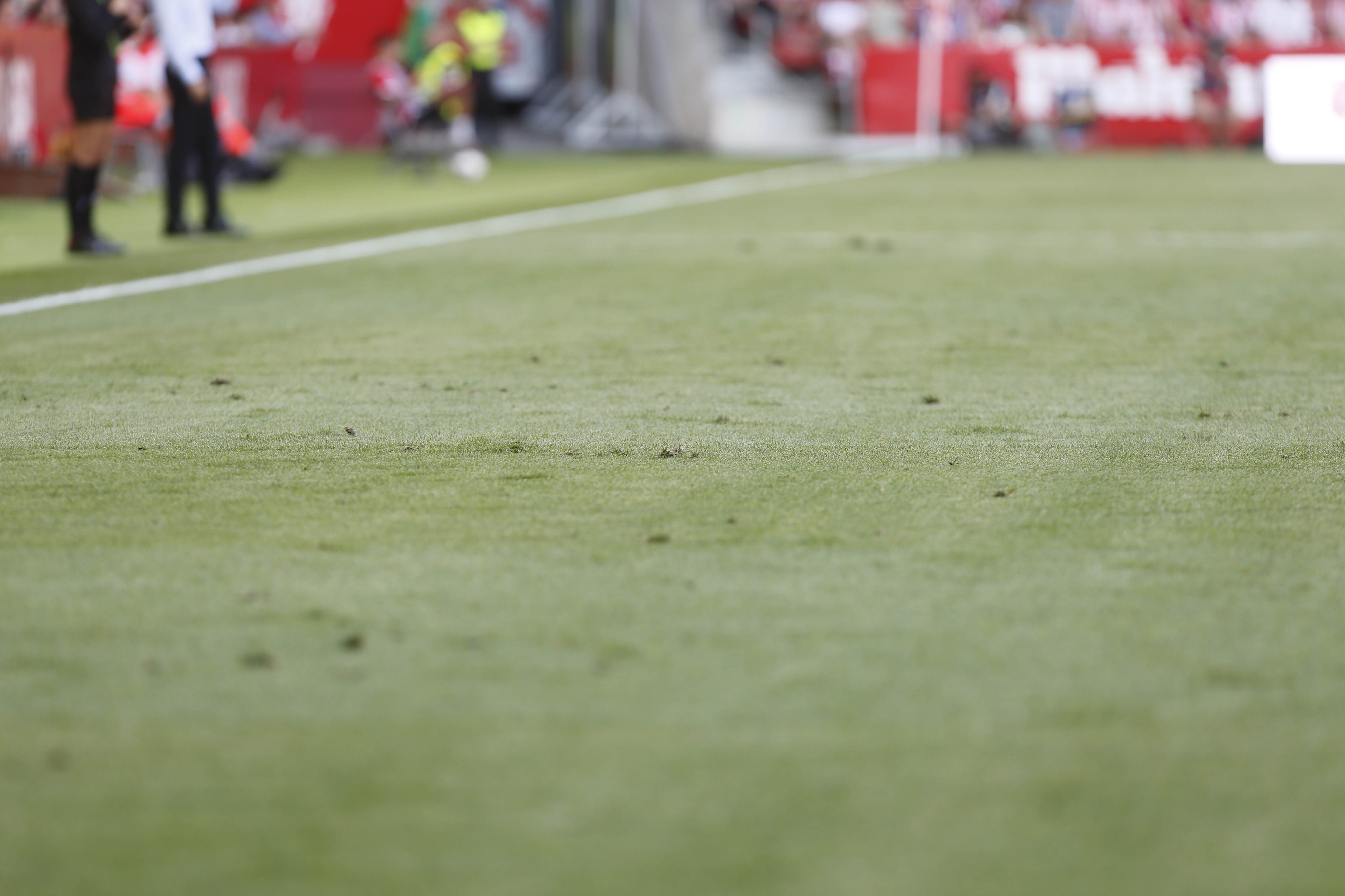 El verde de El Molinón también paga el inicio | Killer Asturias